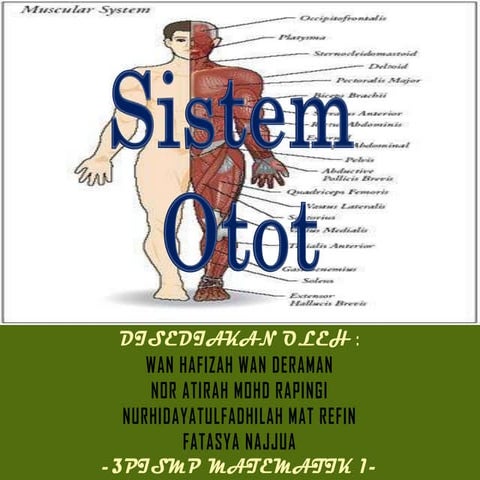 Sistem Otot | PPTX