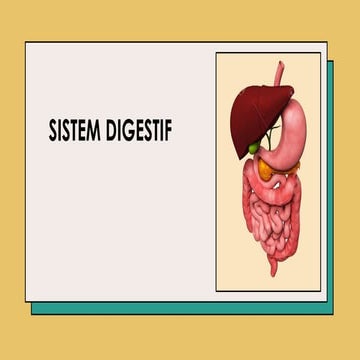 Materi Terminologi Medis SISTEM PENCERNAAN PADA MANUSIA.pptx