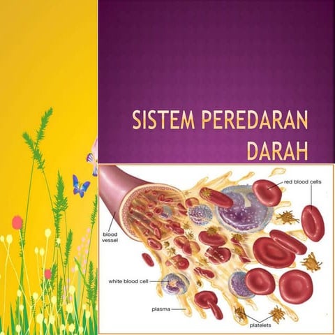 PPT Komposisi darah dan golongan darah | PPTX