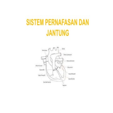 SISTEM PERNAFASAN DAN JANTUNG YANG SIHAT.pptx