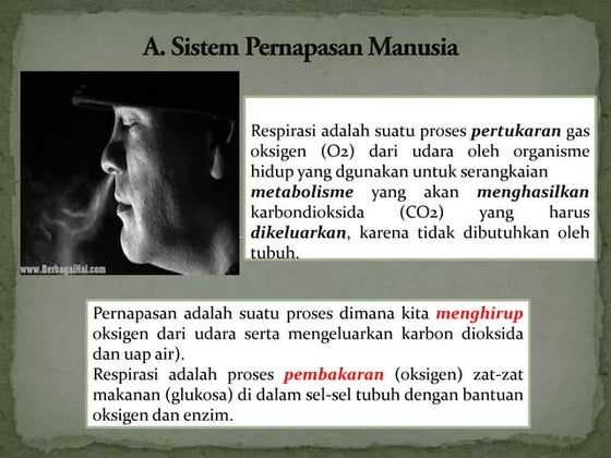 PPT IPA KELAS 8_BAB 9_SISTEM PERNAPASAN MANUSIA - Copy.pptx