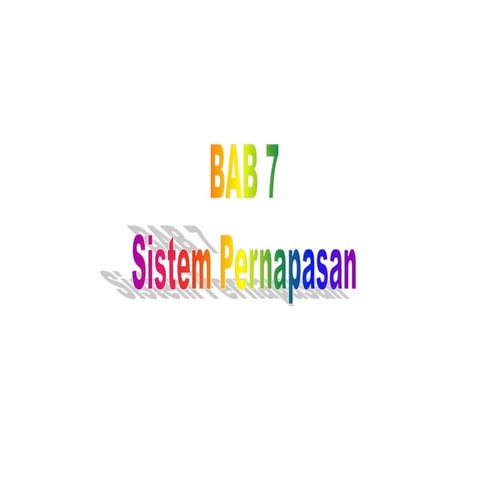 Sistem Pernapasanppt Kelas Xi Kurikulum Merdeka Ppt