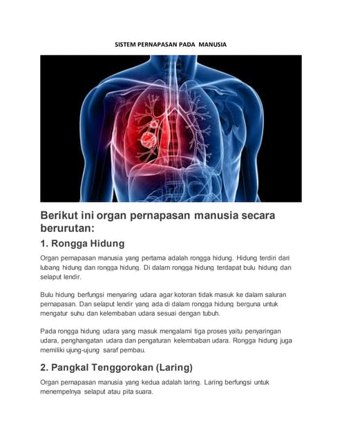 Sistem pernapasan manusia | PPTX