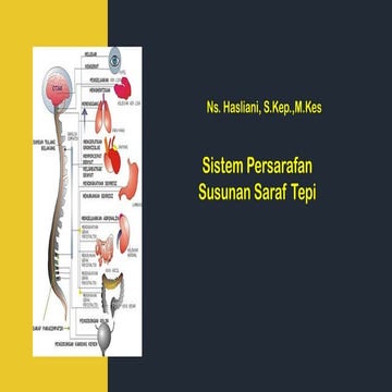 Sistem Persarafan Susunan Saraf Tepi.pptx