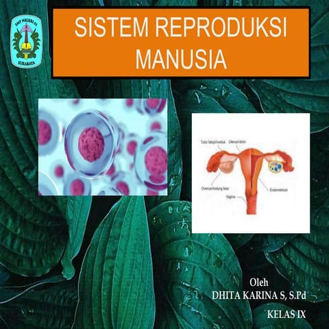 SISTEM REPRODUKSI.pptx