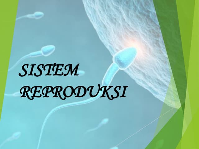 BAB 1. Sistem Reproduksi Manusia (1).pptx