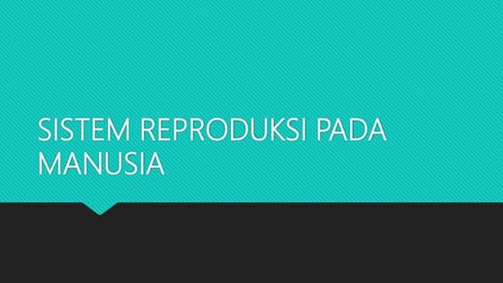 SISTEM REPRODUKSI PADA MANUSIA KELAS 9 KURIKULUM MERDEKA | PPT