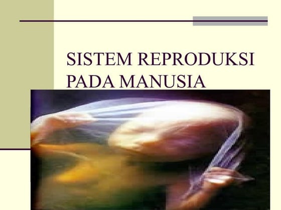 BAB 1. Sistem Reproduksi Manusia (1).pptx