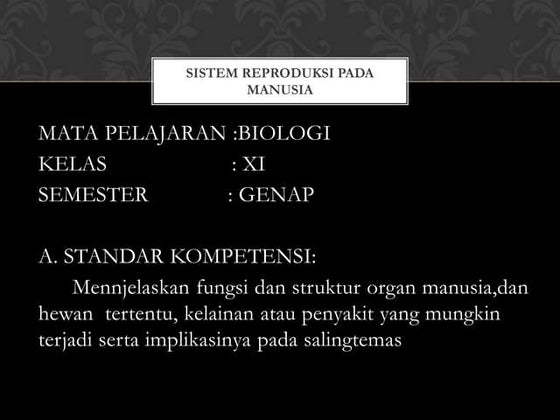 Alat reproduksi pada pria dan fungsinya | PDF