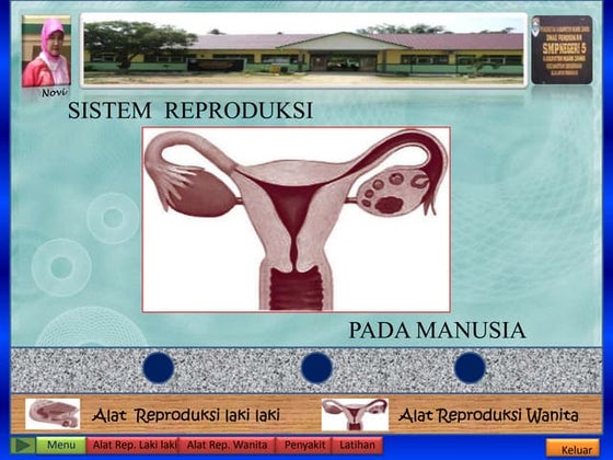 BAB 1. Sistem Reproduksi Manusia (1).pptx