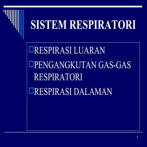 Sistem respiratori ( lab ). bj n liza | PPT