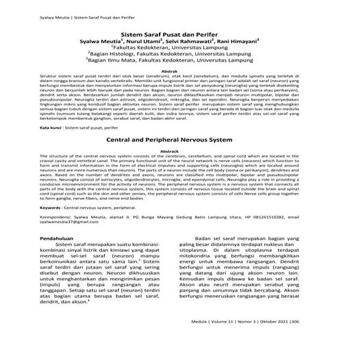 Sistem Saraf Pusat dan Perifer Biologi Kelas 11 | PDF