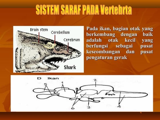 BudiEnglish Sample course | PPT