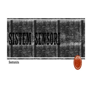 Sistem sensori manusia terkait anatomi dan fisiologi.pptx