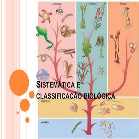 Sistemática e classificação biológica | PPTX