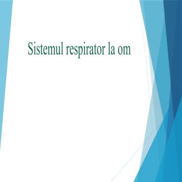 Sistemul_respirator_la_om[1].pptx .pptxPrezentare PPt | PPTX