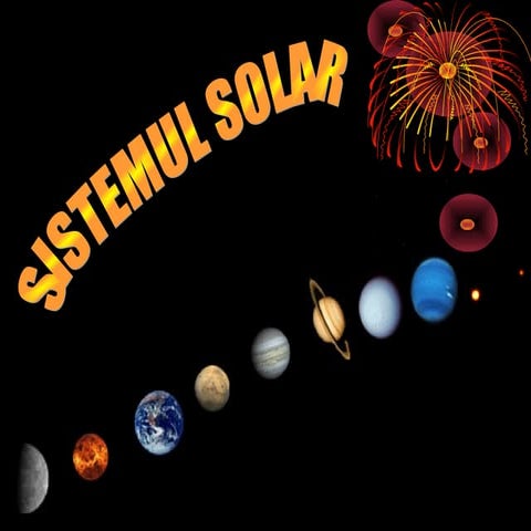 Mediul temperat oceanic 11 c | PDF