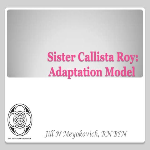 Roy's Adaptation Model | PPT