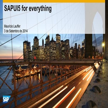 SAPUI5 for everything | PDF | Web Development | Internet