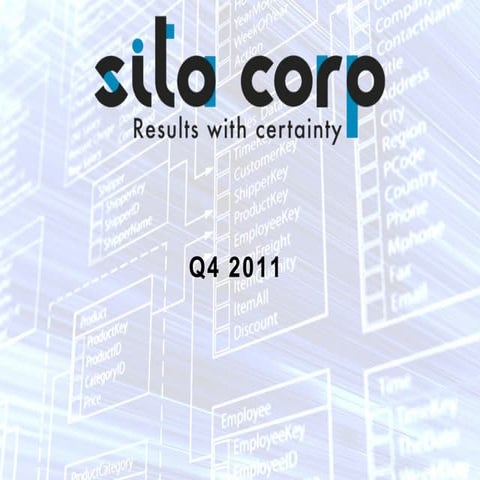 Sita Corp Introduction | PPT