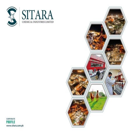 Sitara Chemical Industries ltd Corporate Profile | PDF