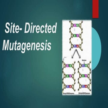 types and examples of Site-directed mutagenesis.pptx