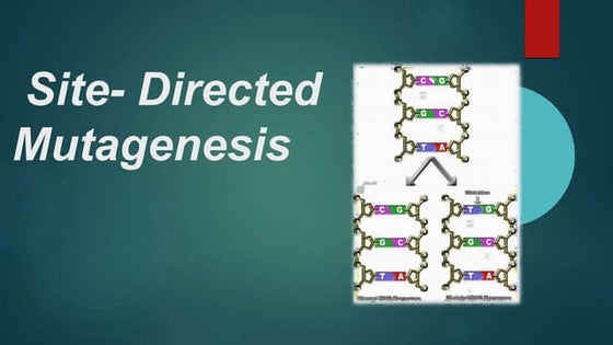 Site directed mutagenesis | PPTX | Chemistry | Science