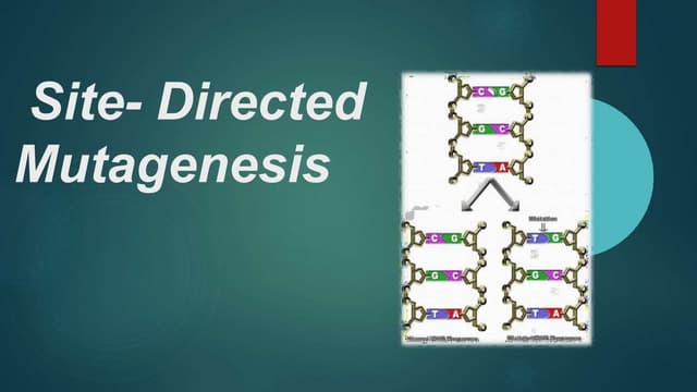 Transposon mutagenesis & site directed mutagenesis | PPTX