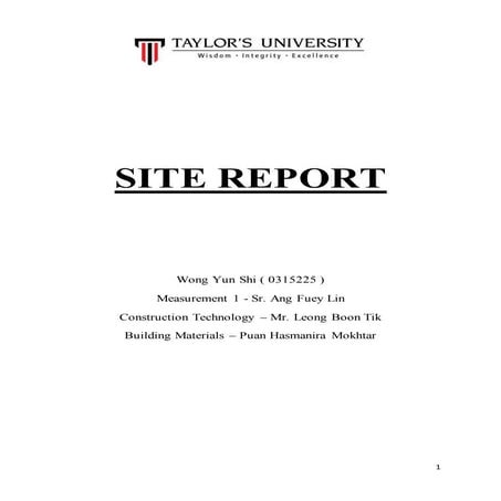 Site report | DOCX