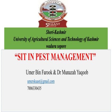 sit presentation.pptx