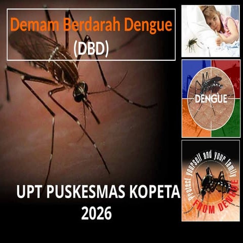 Comprehensive Overview and Prevention of Dengue Fever (DBD) in Kopeta ...