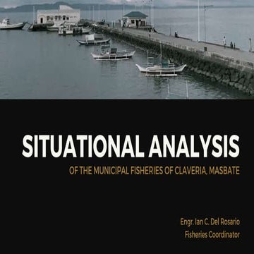 Situational Analysis for Local Disaster Risk And Reduction Management ...