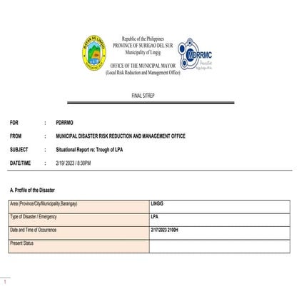 CBDRRM PLANNING WORKSHOP - TEMPLATE.pptx