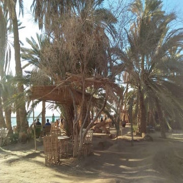 Siwa oasis journey | PPTX