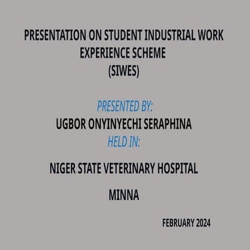 SIWES_presentation Seraphina Chinetugo.pptx