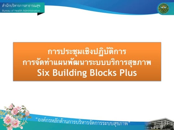 WHO Building Blocks_ | PDF | Healthcare Industry | Industries