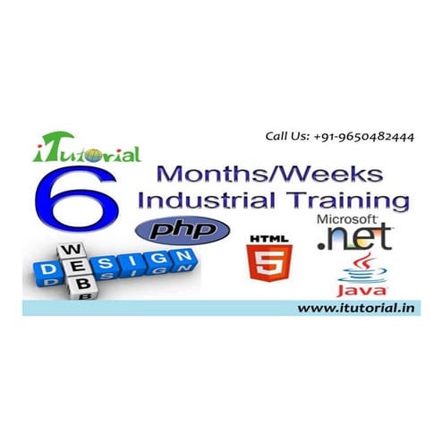 Six month industrial training in delhi ncr | PDF