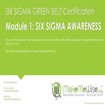 Six Sigma | PDF