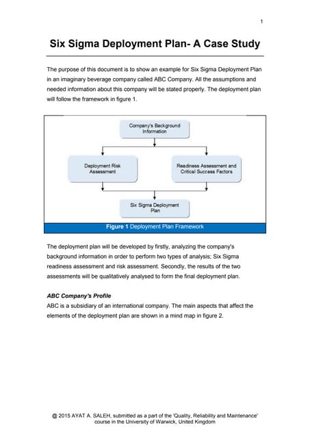 Briggs Stratton Case Study | PDF