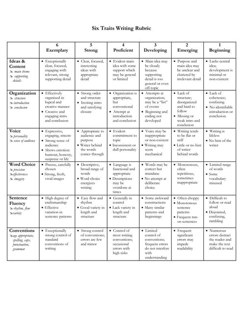 5 Levels Of Organization Rubric | PPT