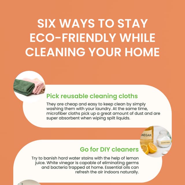 Facts: Eco Friendly Cleaning | PDF