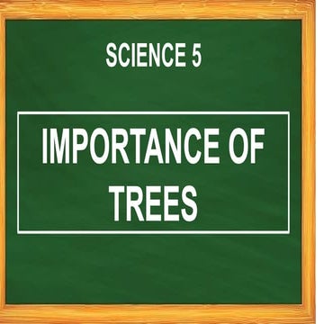 the Importance of Trees in Our Lives 202 | PPTX