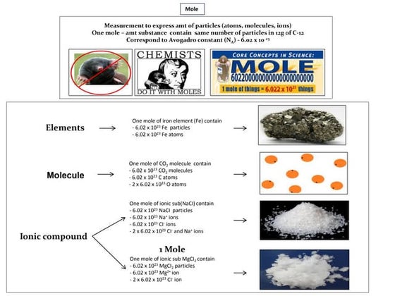 The Mole Ar And Mr | PPT