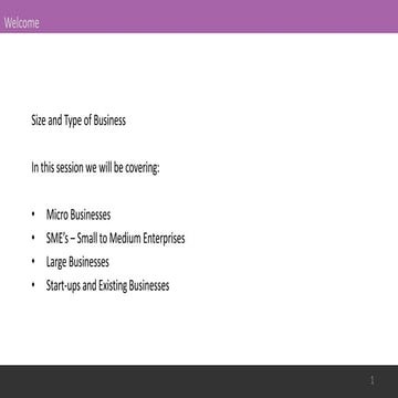 Size and types of business | PPTX
