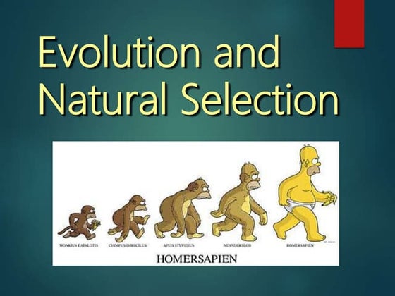 Heredity and evolution class 10th cbse | PPT