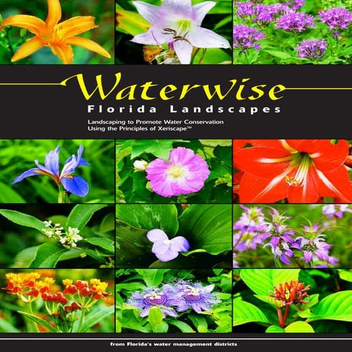 Waterwise Florida Landscapes: Landscaping to Promote Water Conservation ...