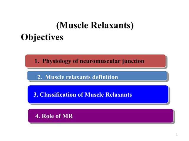 GCSE PE Revision: Antagonistic muscle pairs | PPTX