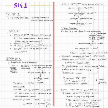 SK1 ara_230403_114023.pdf