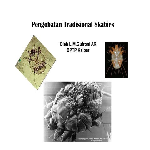 Skabies/Kurap Kambing, Pengobatan | PPSX