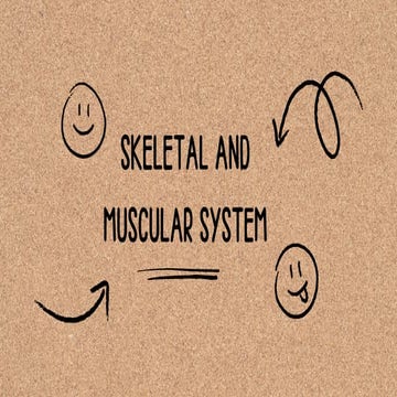 skeletal-muscular-system.pdf a presentation | PDF